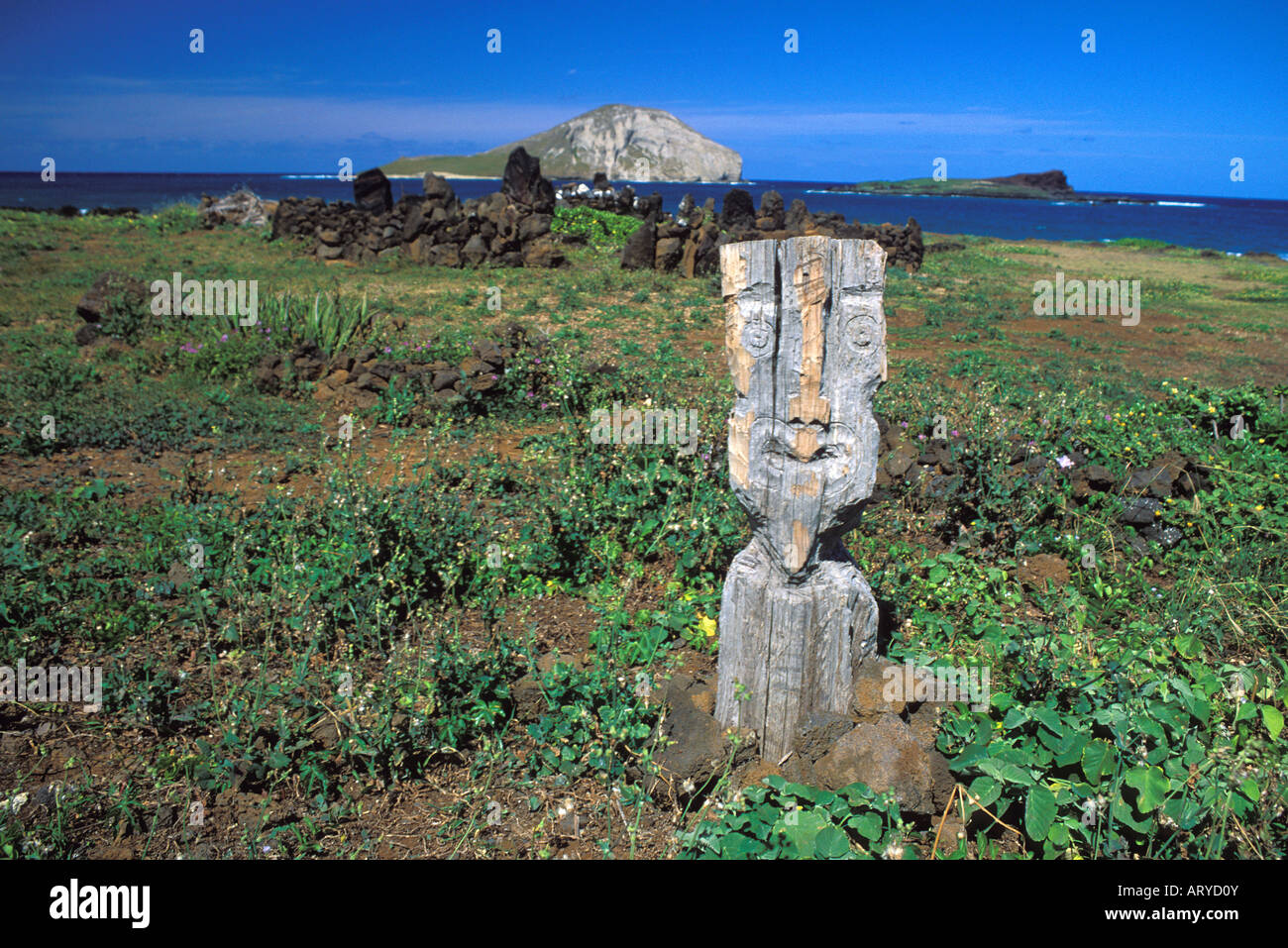 Hawaiian ritual hi-res stock photography and images - Alamy