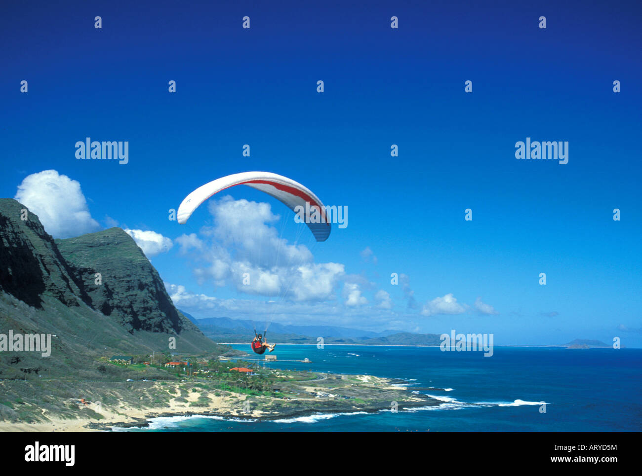 A paraglider enjoys riding the warm updrafts over Makapuu Beach Park on ...