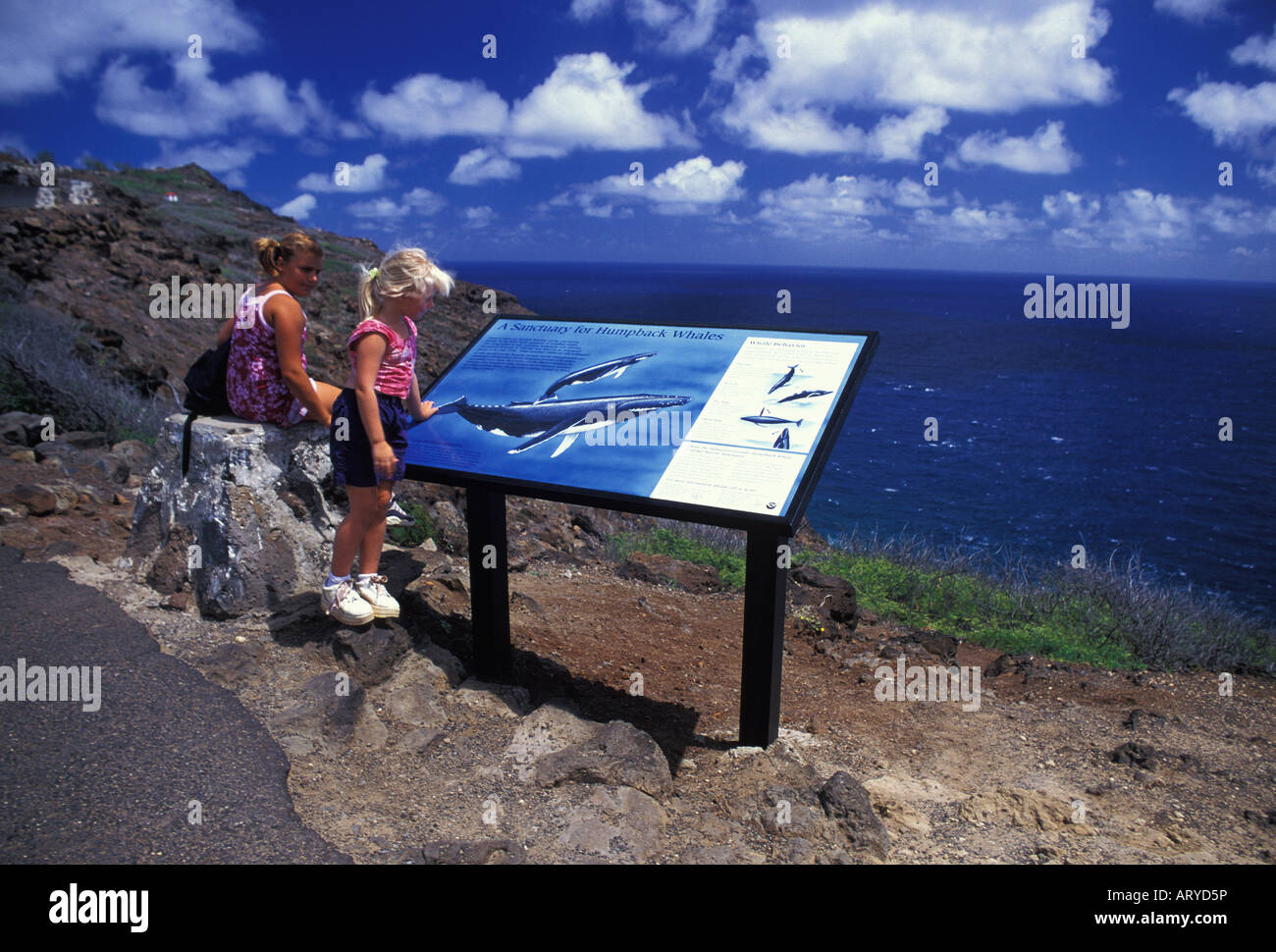 Whale lookout point hi-res stock photography and images - Alamy