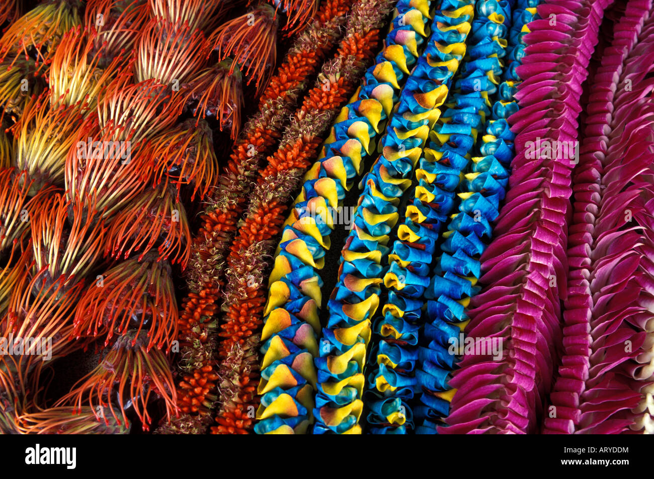 Flower leis hi-res stock photography and images - Alamy