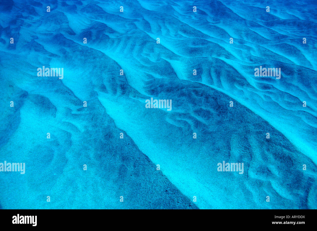 These patterns in the sand are created by waves and tidal currents ...