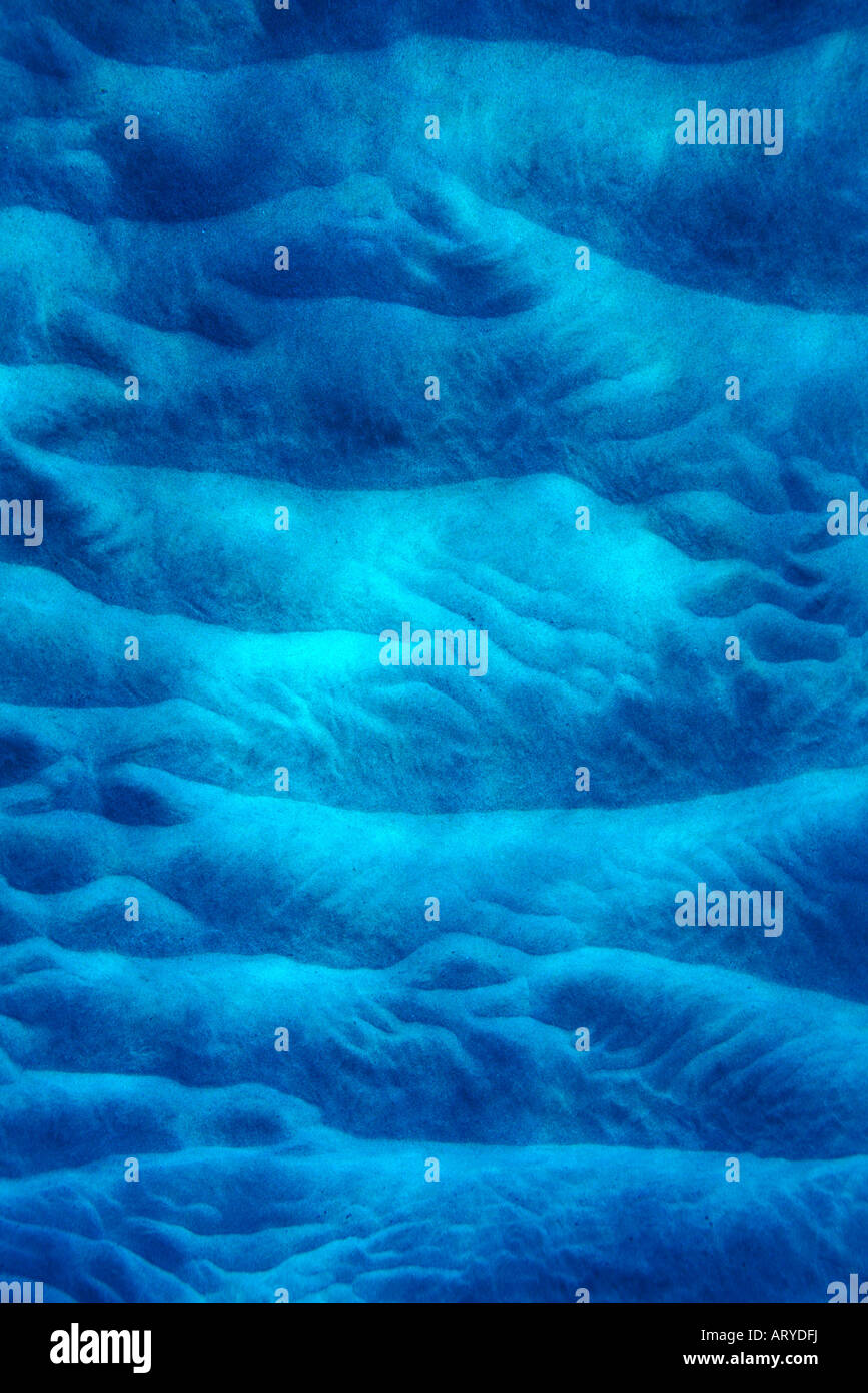 These patterns in the sand are created by waves and tidal currents ...