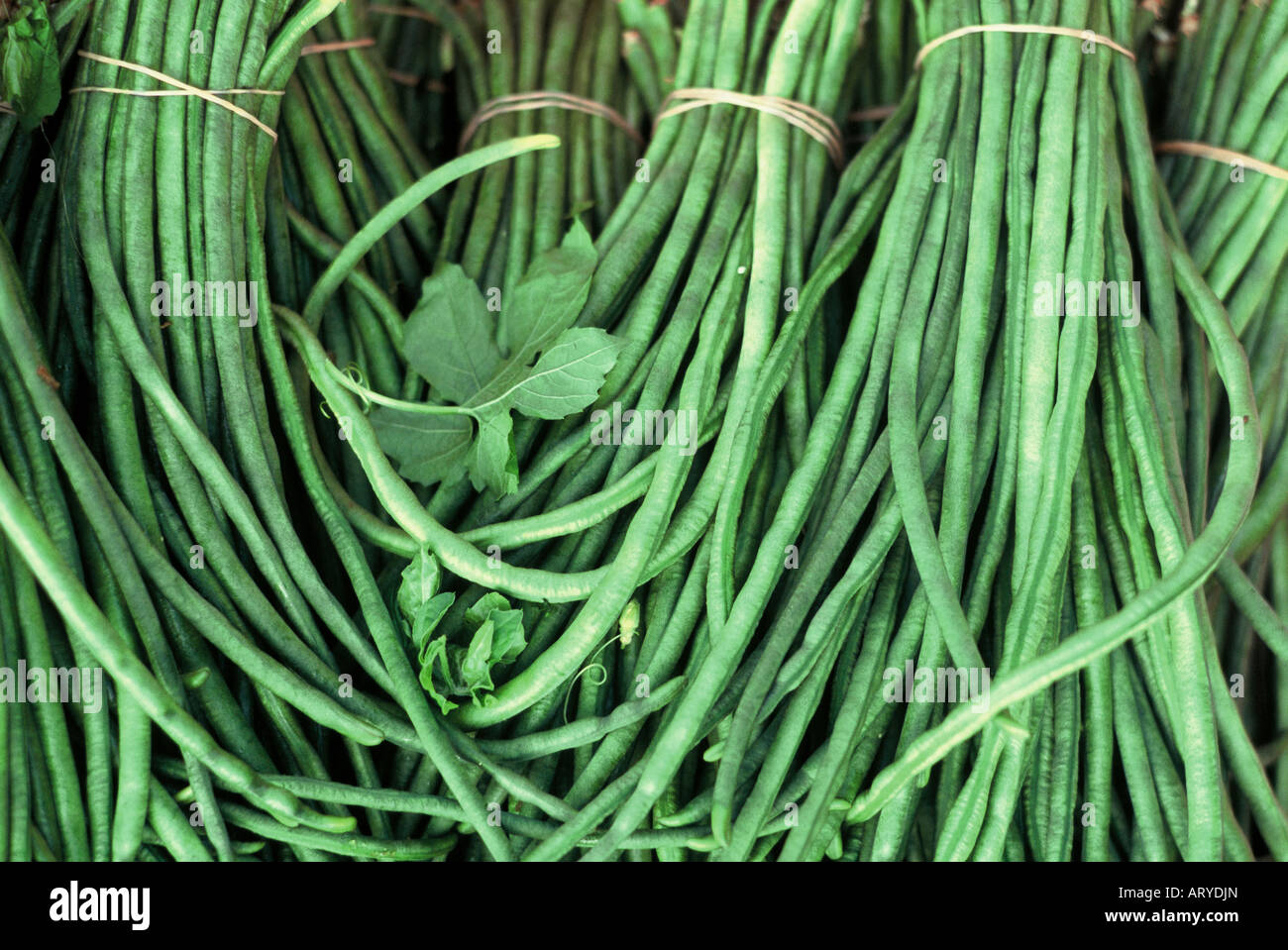 Hilo open market hi-res stock photography and images - Alamy