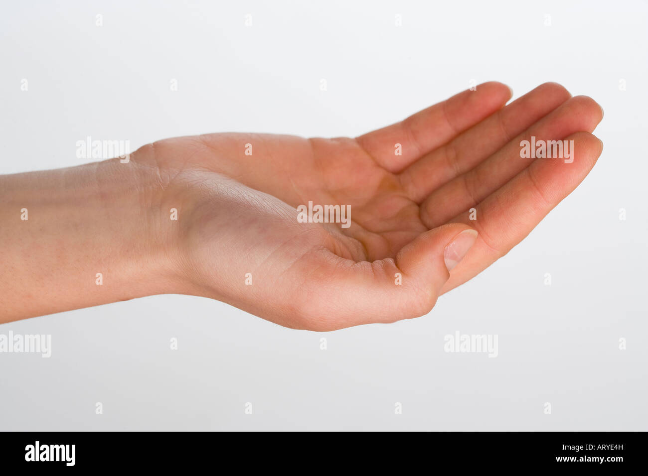 Beging hi-res stock photography and images - Alamy