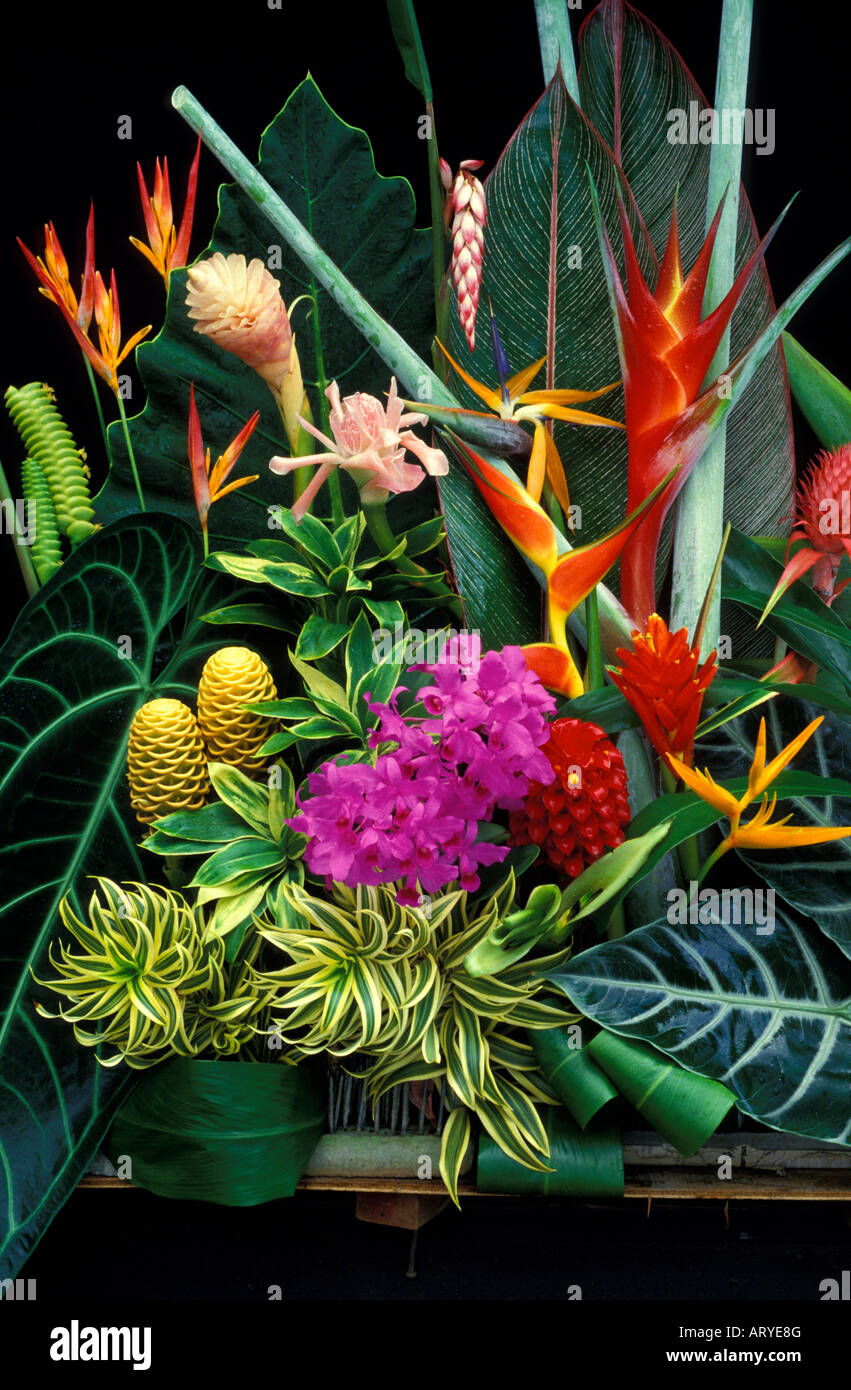 An arrangement of mixed tropical flowers and foliage including ...
