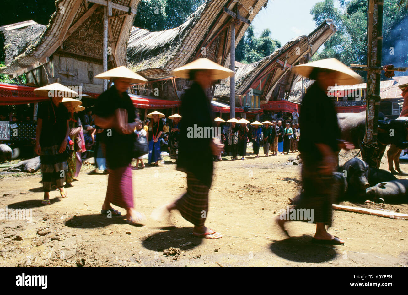 Torajaland Indonesia High Resolution Stock Photography and Images - Alamy