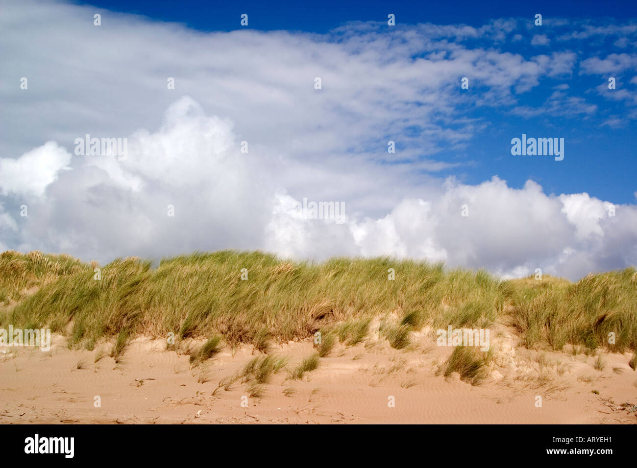 clouds and blue sky over sand dunes Saunton Sands Beach and sand dunes ...