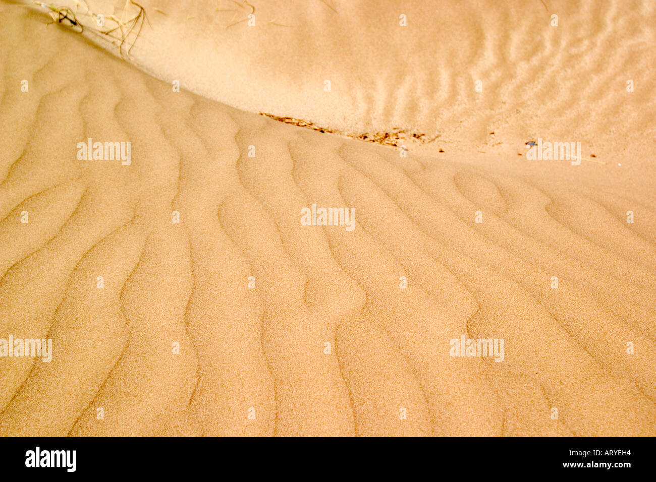 patterns in sand made by wind Saunton Sands Beach and sand dunes near ...