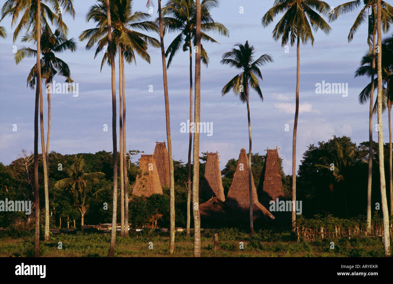 Sumba traditional architecture hi-res stock photography and images - Alamy