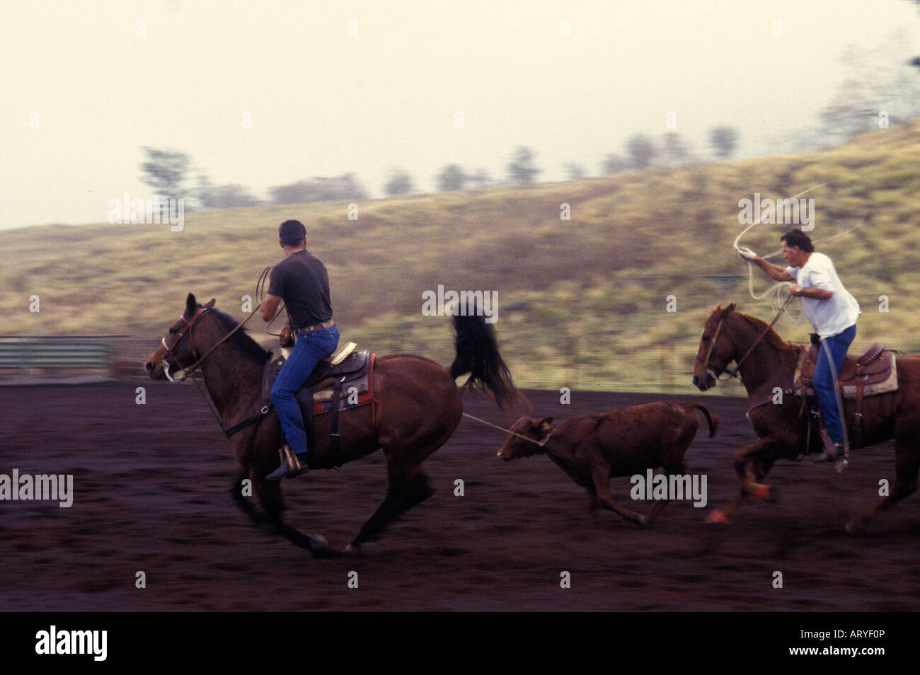 Roping techniques hi-res stock photography and images - Alamy