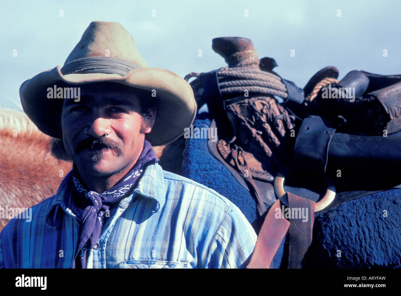 Portrait of a paniolo (cowboy) in front of his horse Stock Photo - Alamy