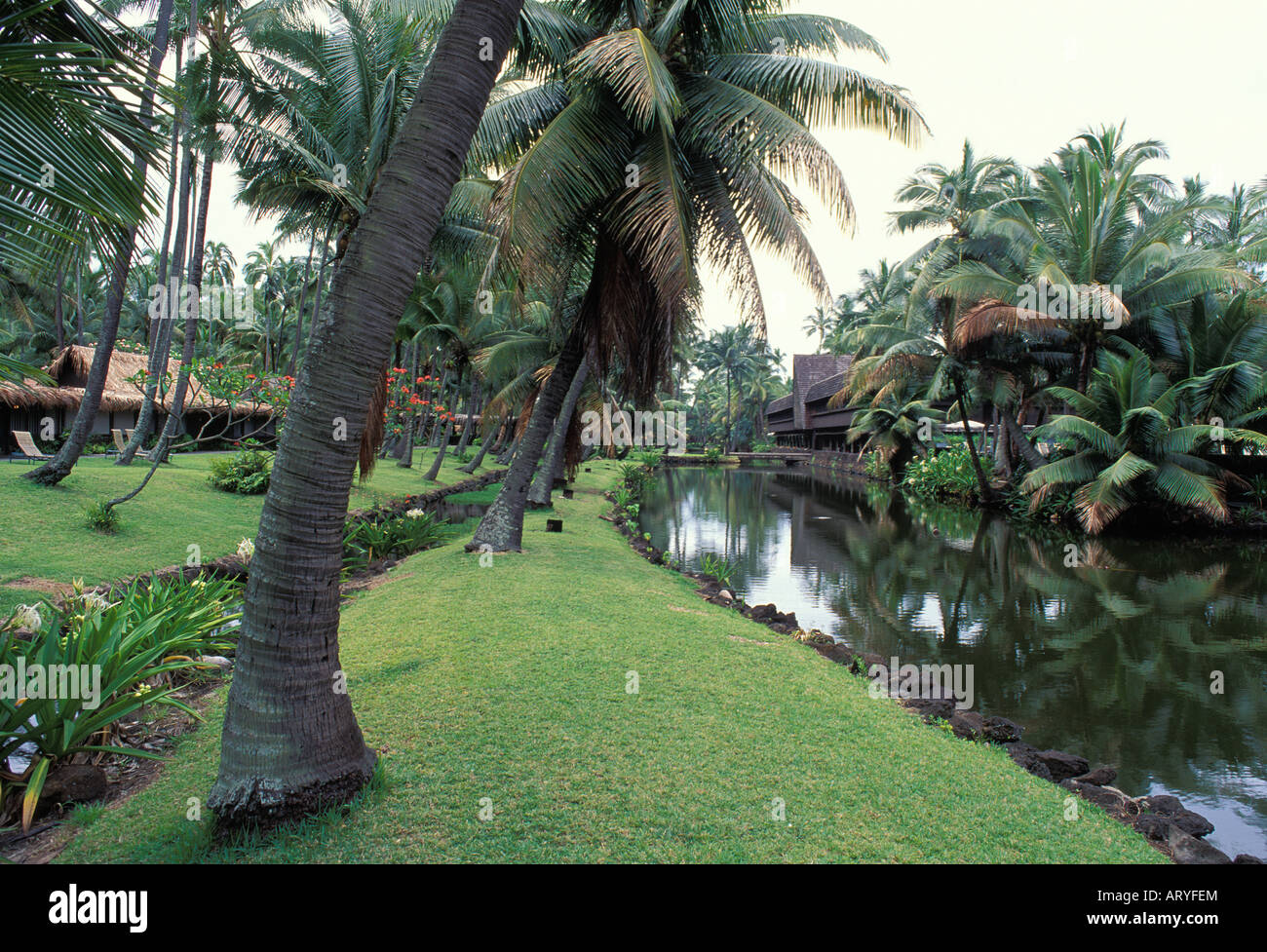 The grounds of the Coco Palms Resort, setting for Elvis Presley film ...