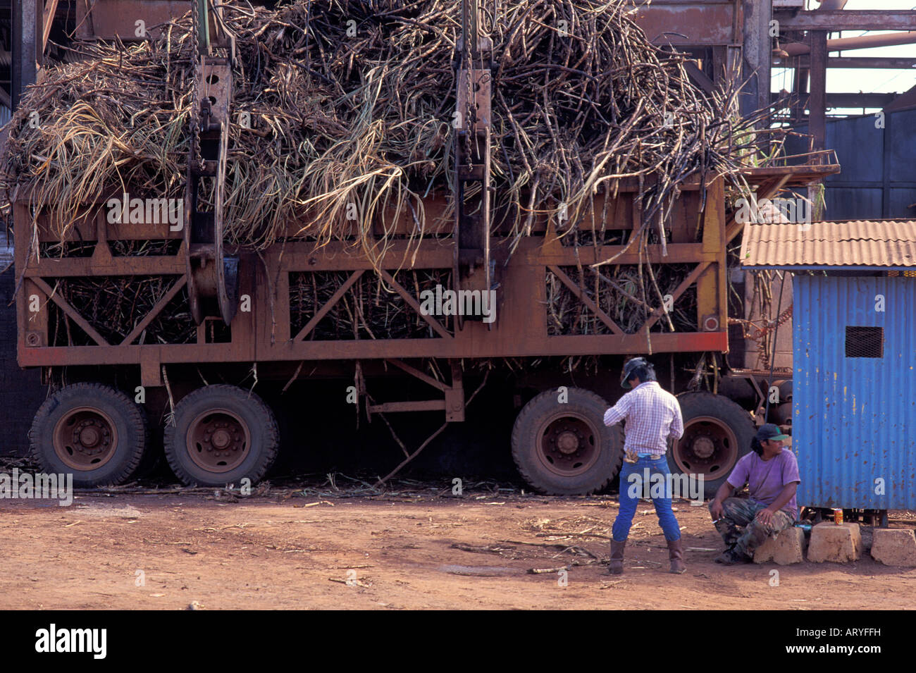 Sugar workers taking a break in front of a cane haul truck at Kekaha ...