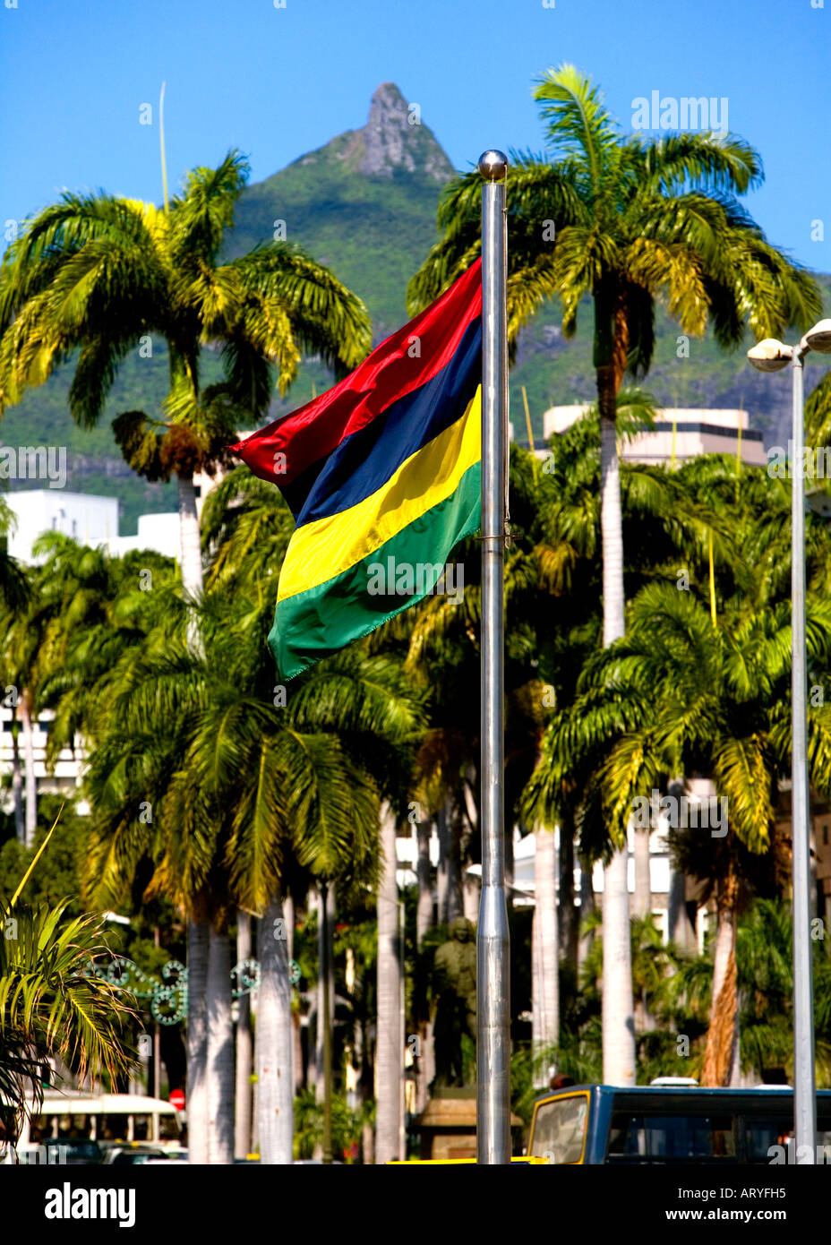 National Flag of Mauritius amidst palm trees - Port Louis the Capital ...