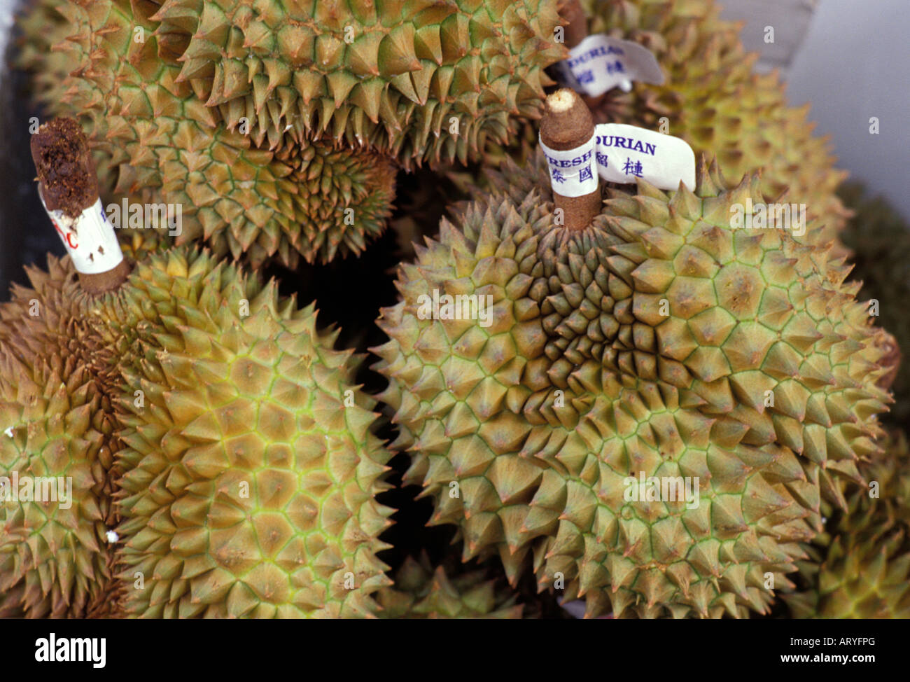 Durian, an exotic fruit from Southeast Asian, on display at a Chinatown ...
