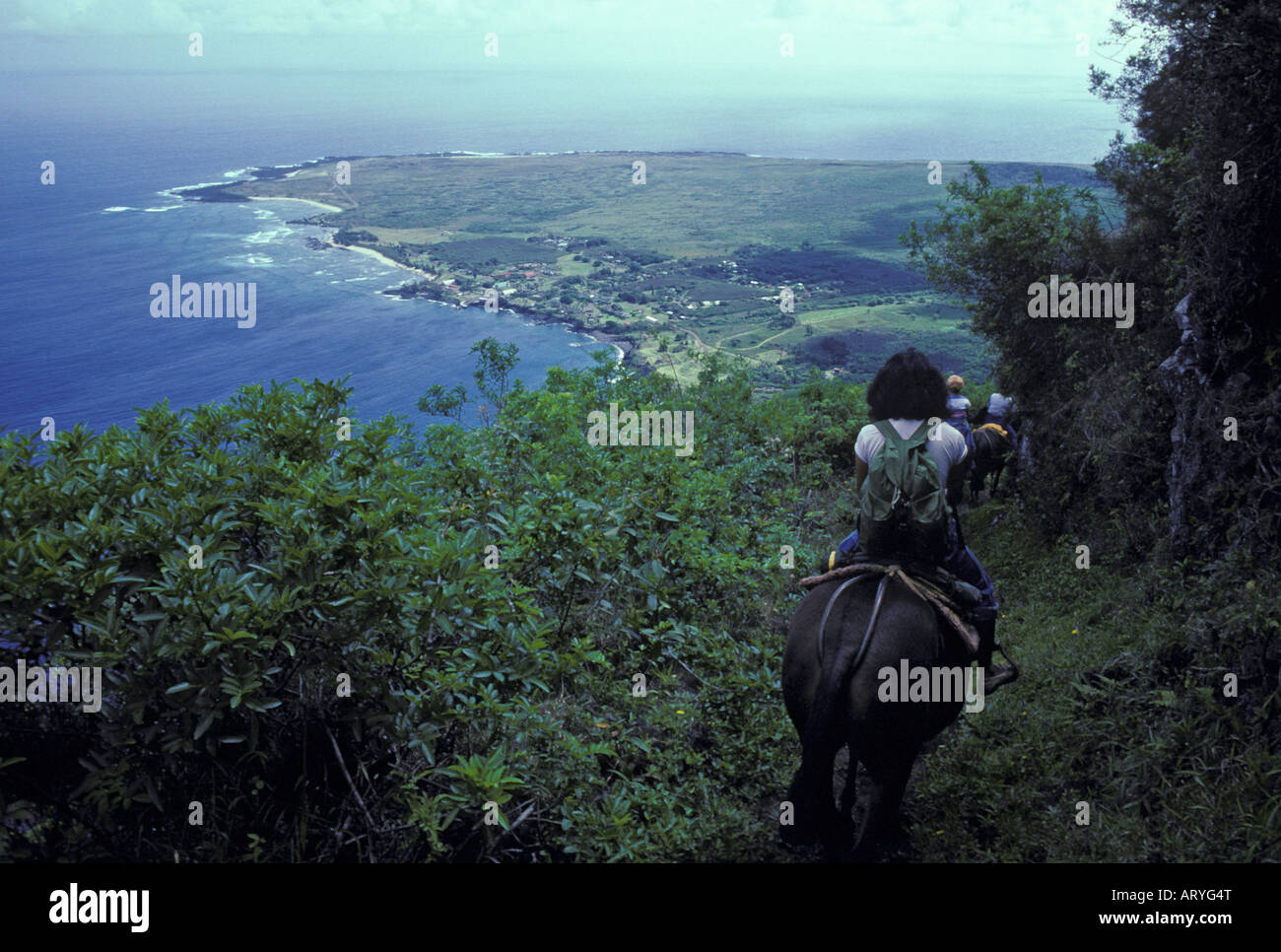Tourists viewing the Kalaupapa peninsula below while taking the mule ...