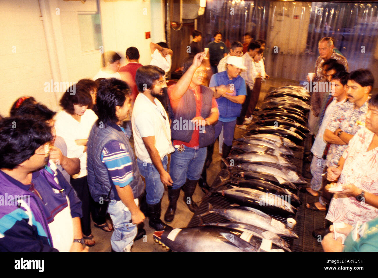 Daily fish auction in Honolulu Stock Photo - Alamy