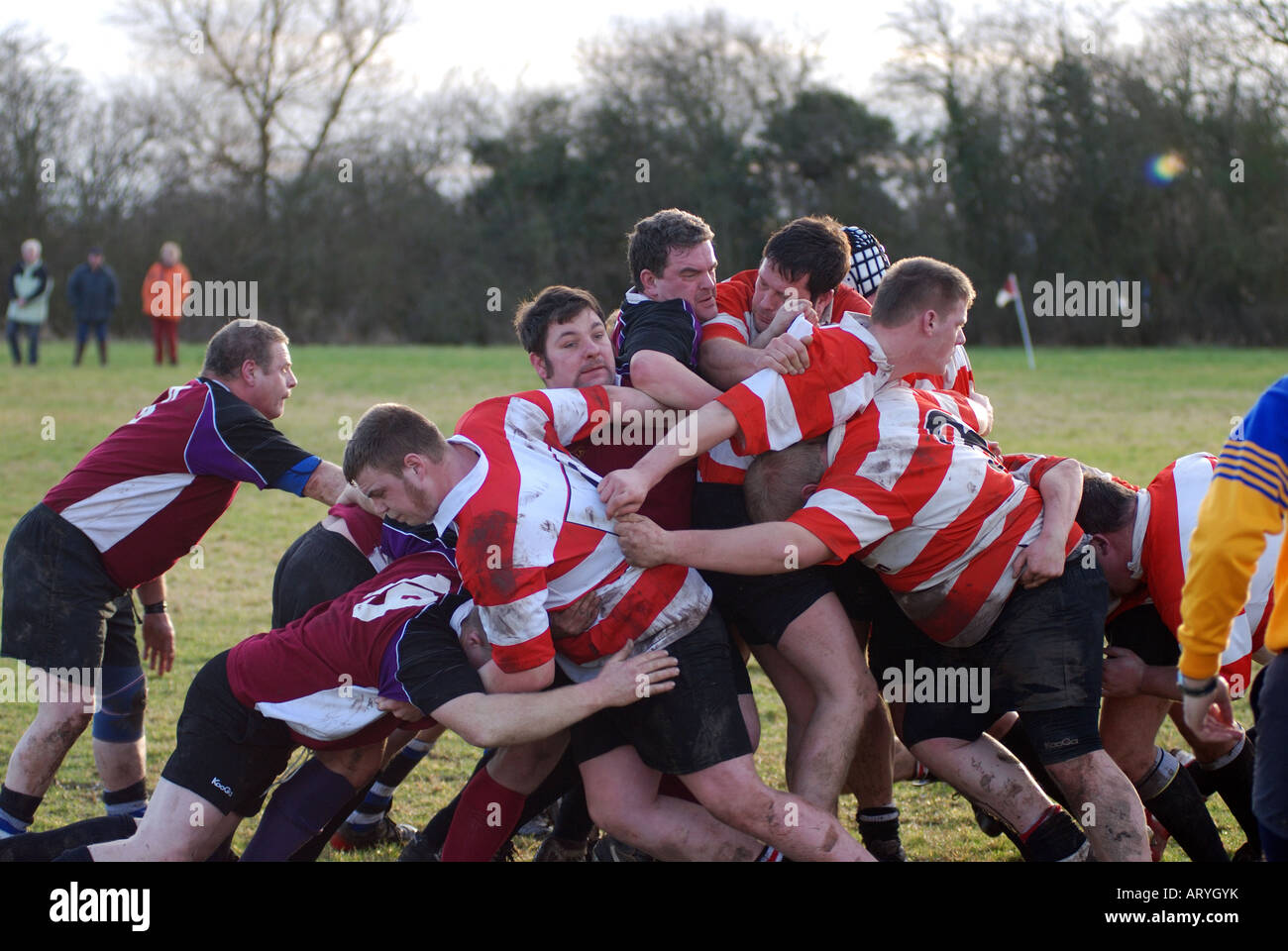 Scrum rugby hi-res stock photography and images - Alamy