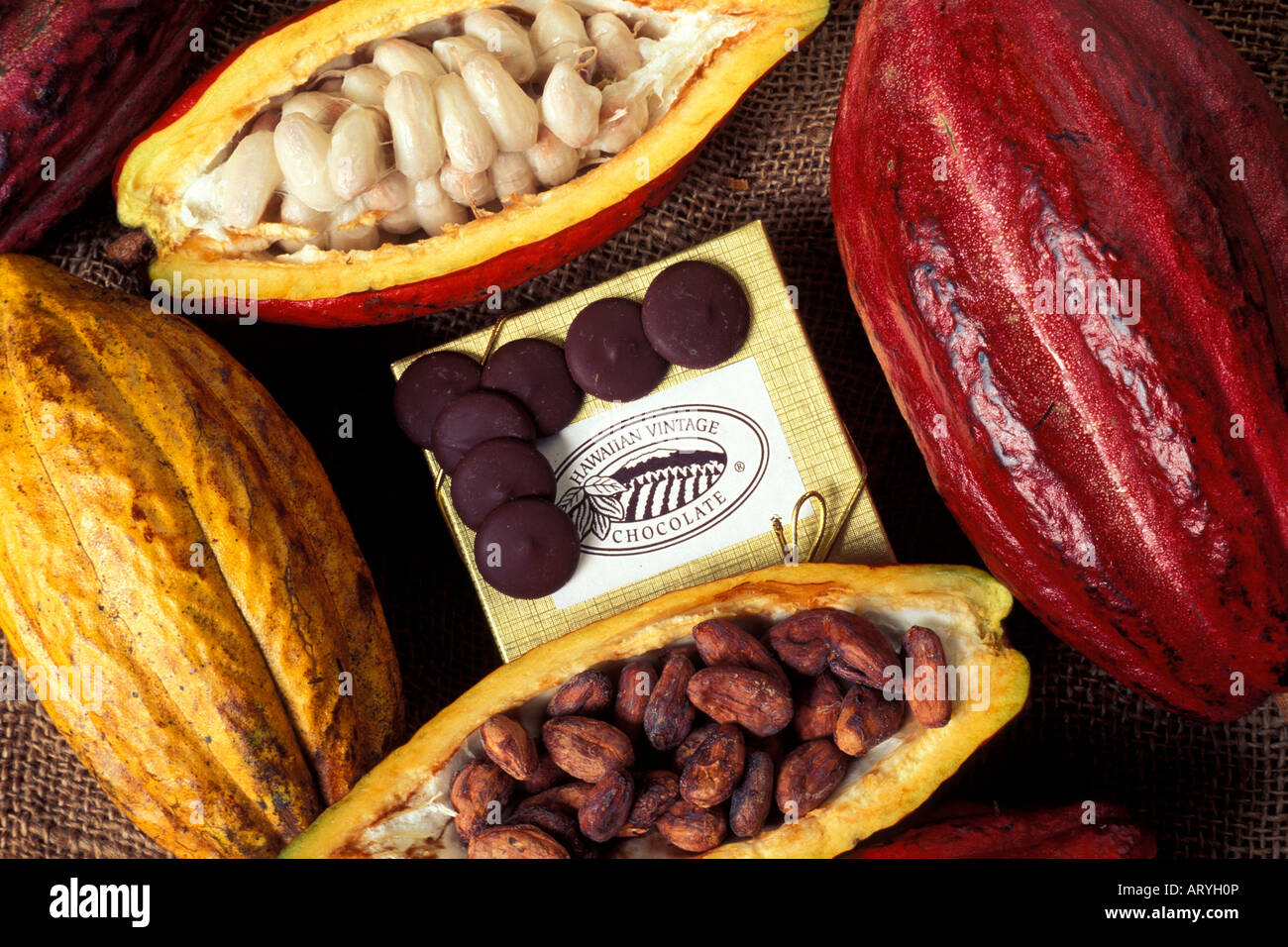 Whole and split cacao pods, showing the beans inside used to make ...
