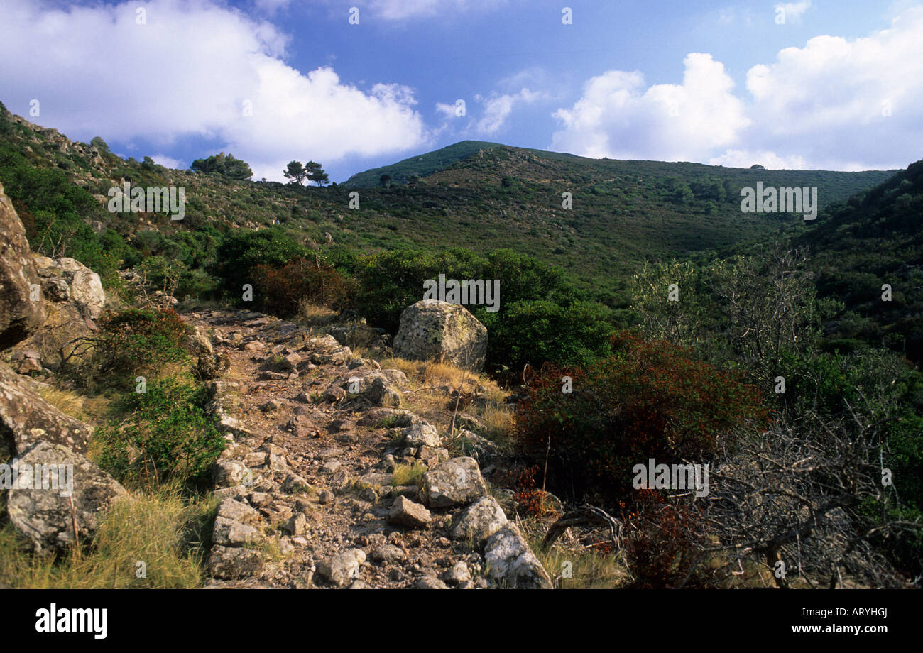 Mule track hi-res stock photography and images - Alamy