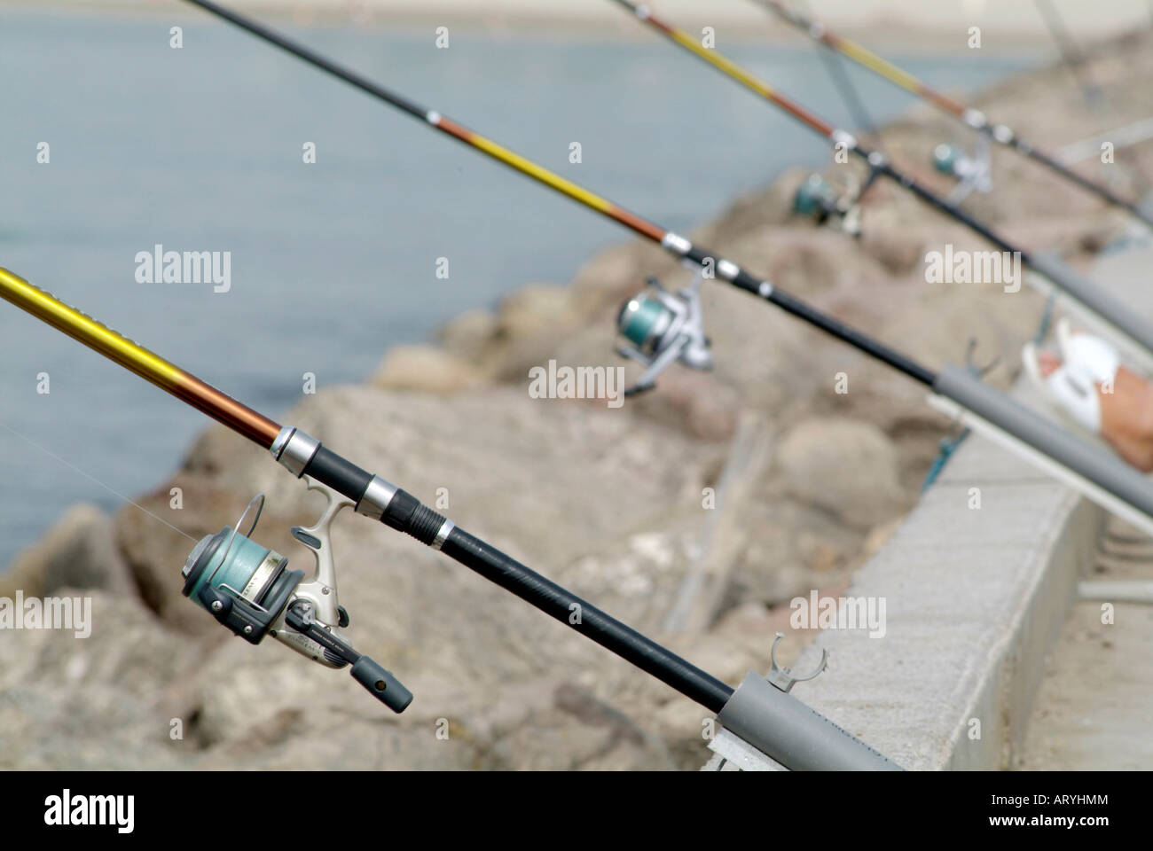 fishing rod fisherman fishermen catch catching fish reel line muliple ...