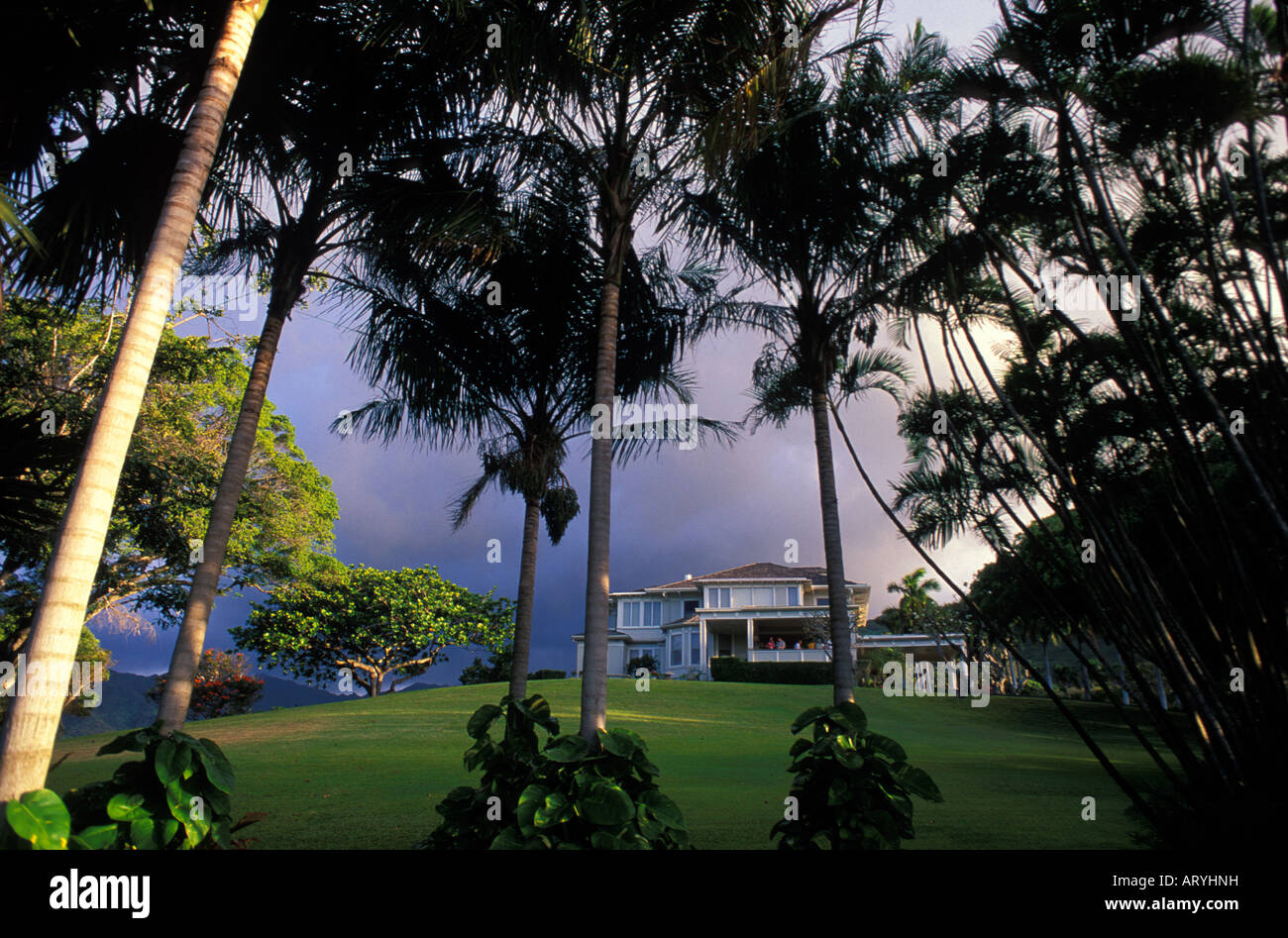 Hawaii Manoa Wue at Harry Francisco blog