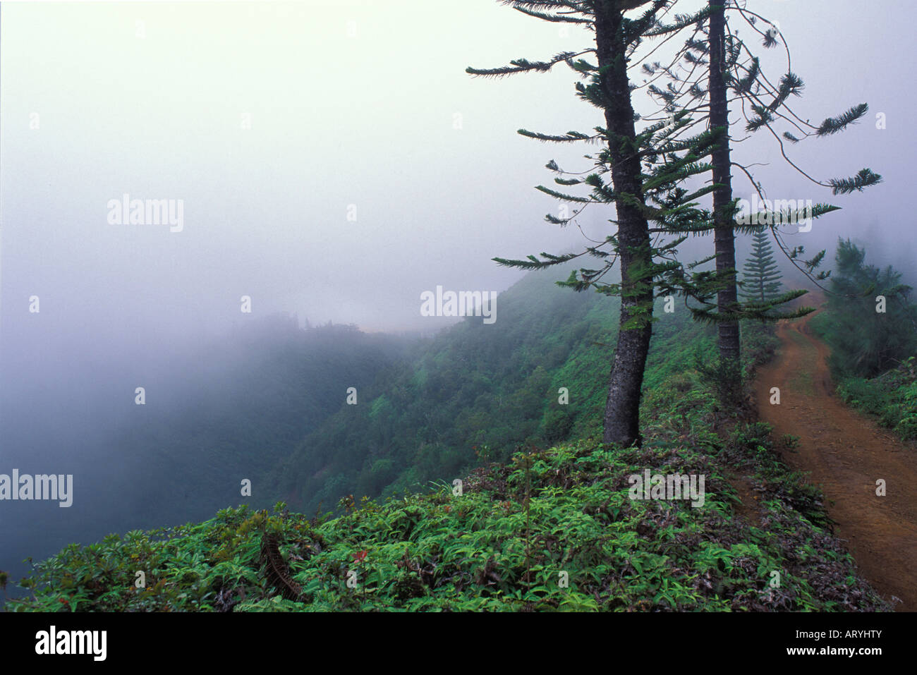 Munro trail hawaii hi-res stock photography and images - Alamy