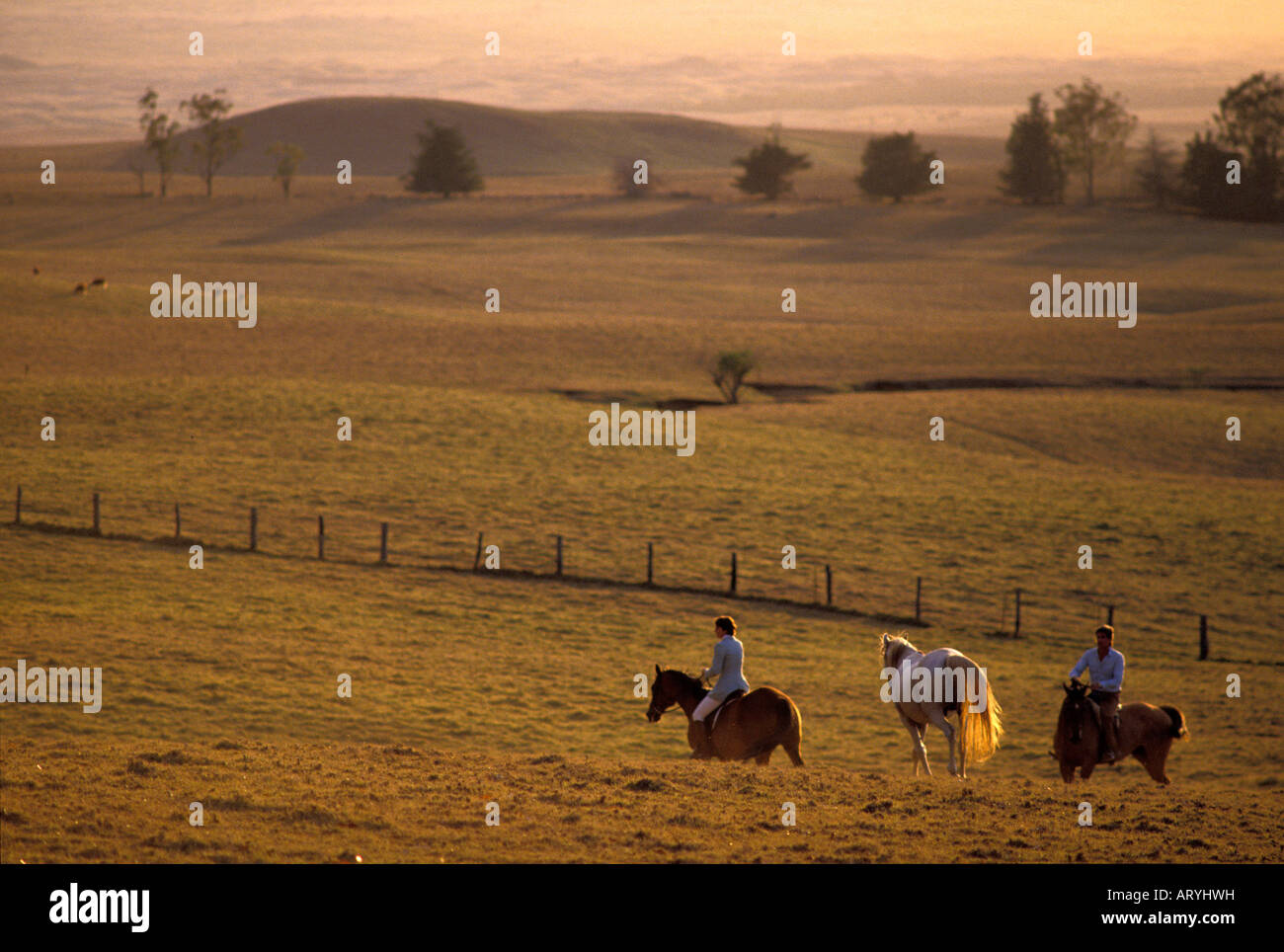 Waikii ranch hi-res stock photography and images - Alamy