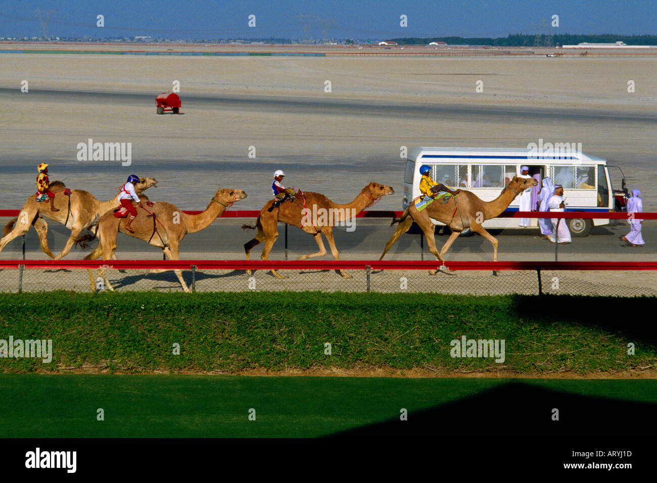 Dubai UAE Camel Race Track Camel Race Stock Photo - Alamy