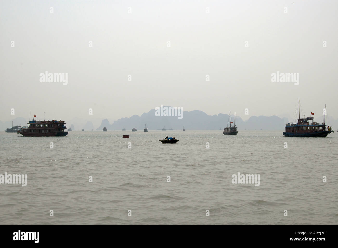 Halog hi-res stock photography and images - Alamy