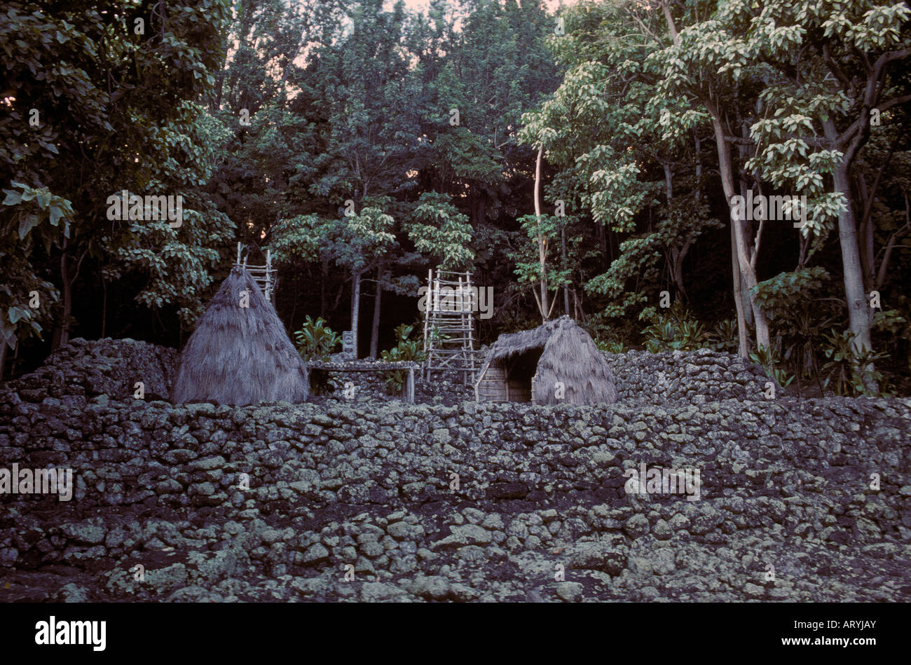 Kaneaki Heiau, ancient temple at different times dedicated to Lono, god ...