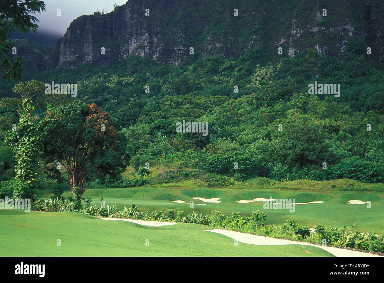 Koolau golf course, hole #18, beneath the pali lookout in Kailua ...