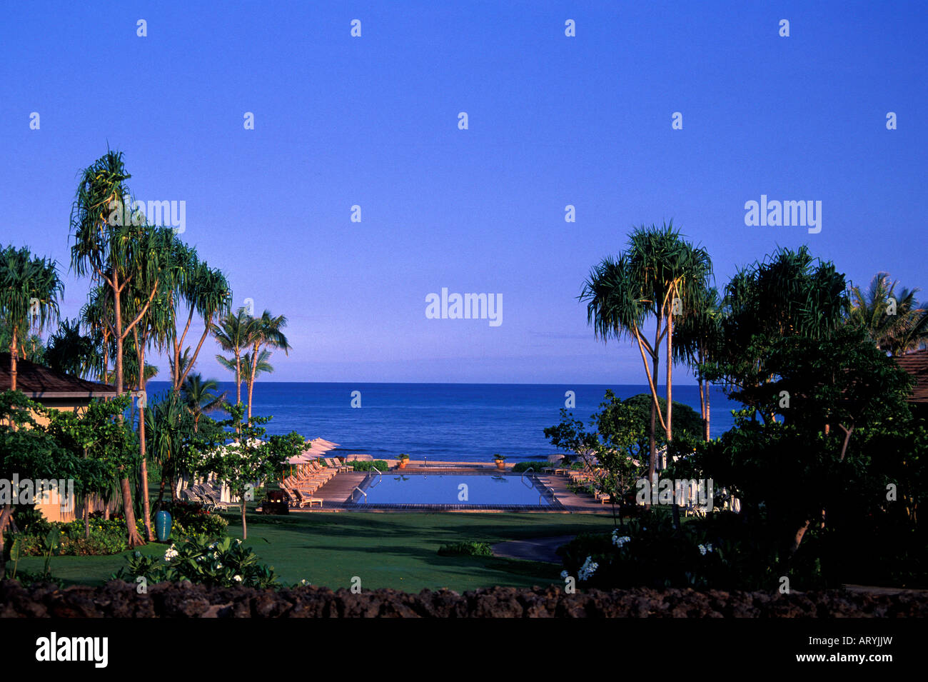 The beautiful infinity pool on the grounds of the Hualalai Resort, Big ...