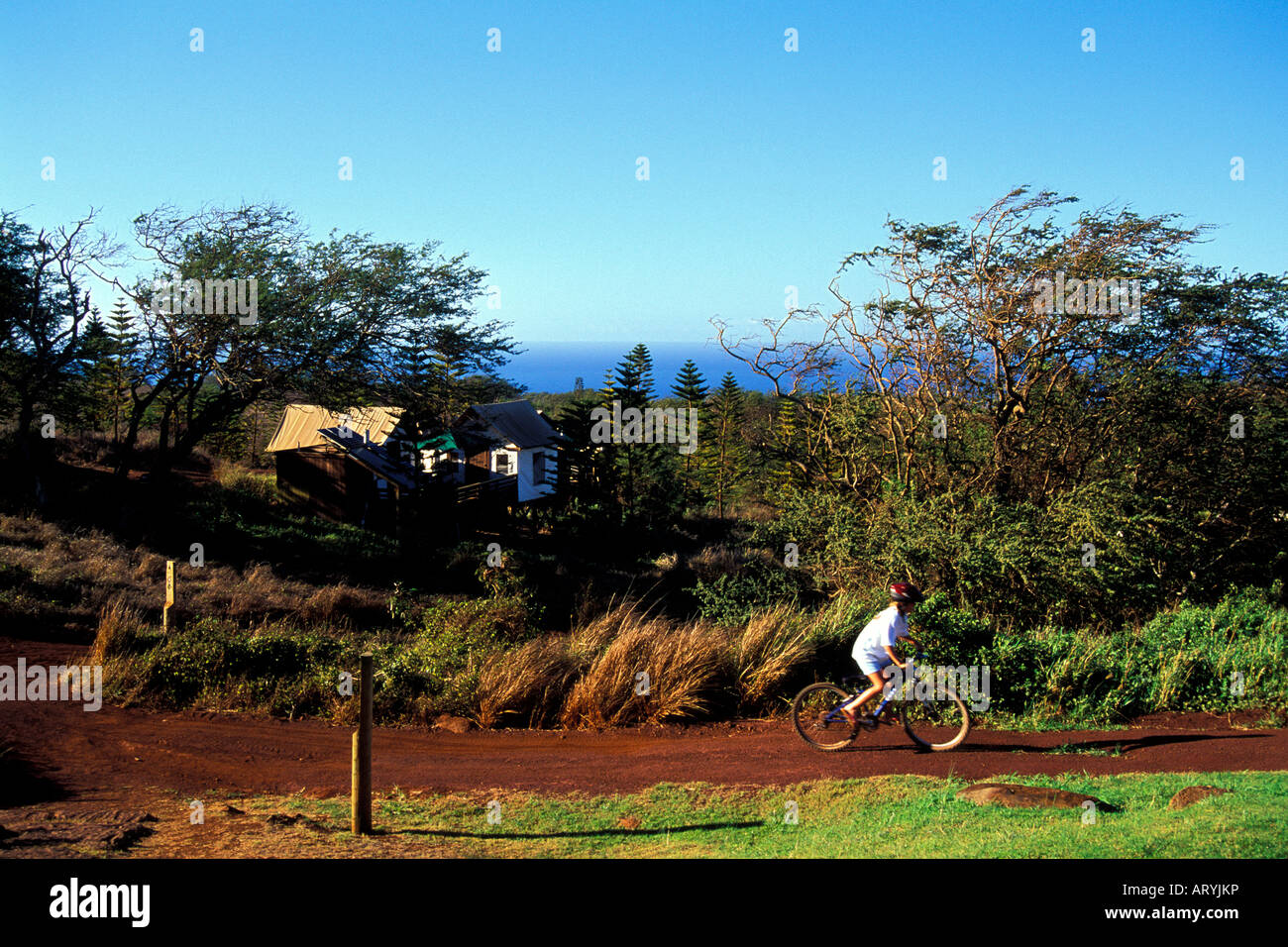 Molokai ranch hi-res stock photography and images - Alamy