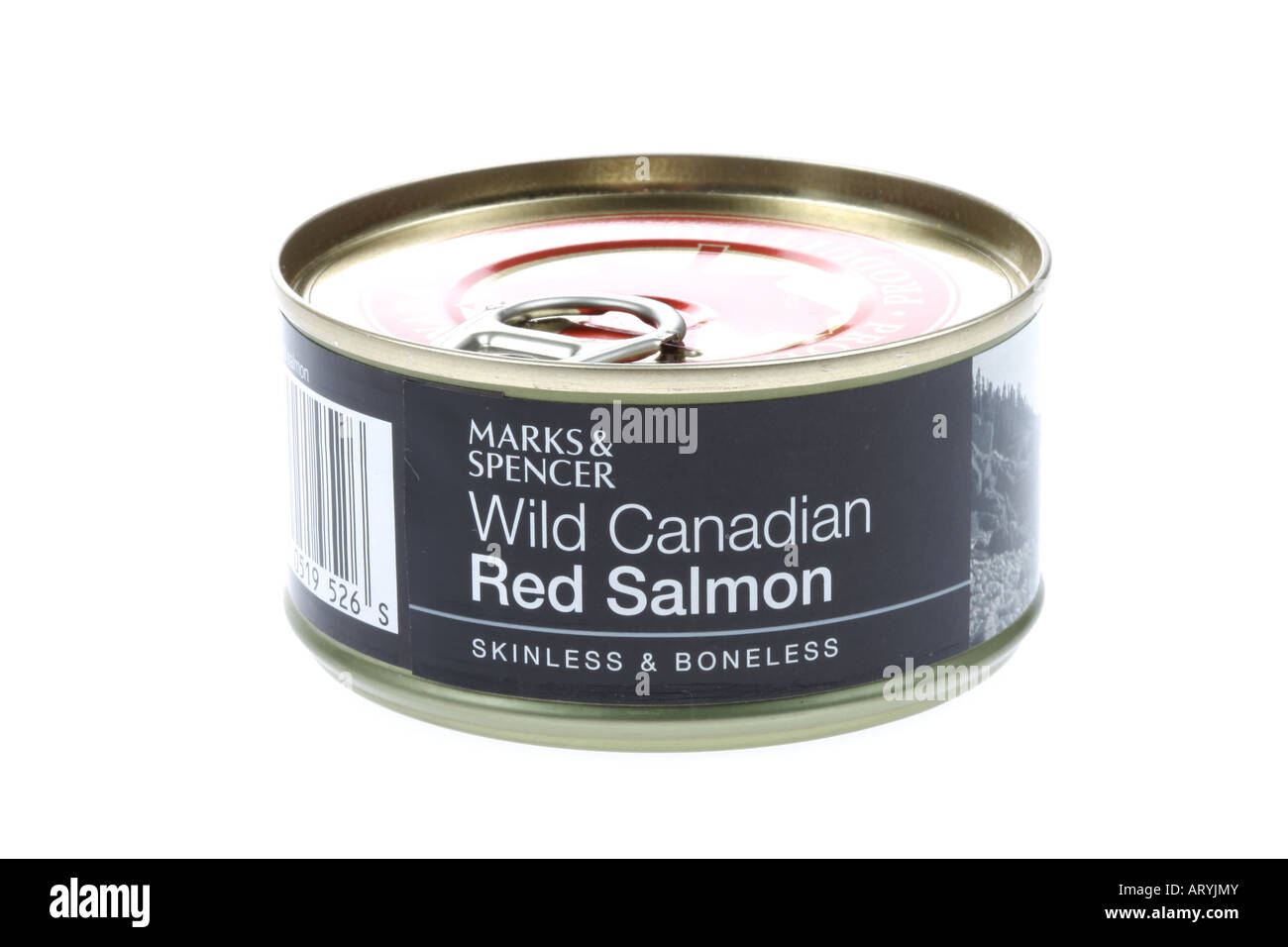 Wild Canadian Salmon Stock Photo - Alamy