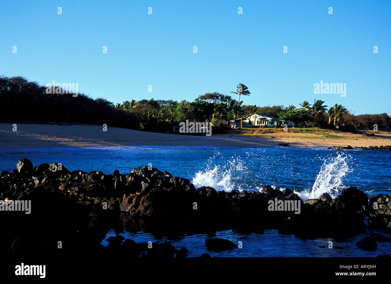 Molokai ranch hi-res stock photography and images - Alamy