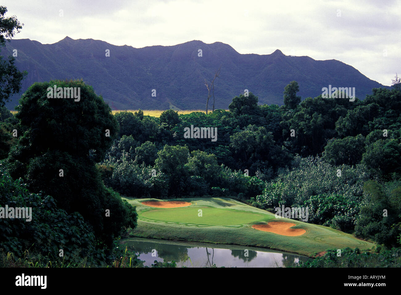 Grove golf course hi-res stock photography and images - Alamy