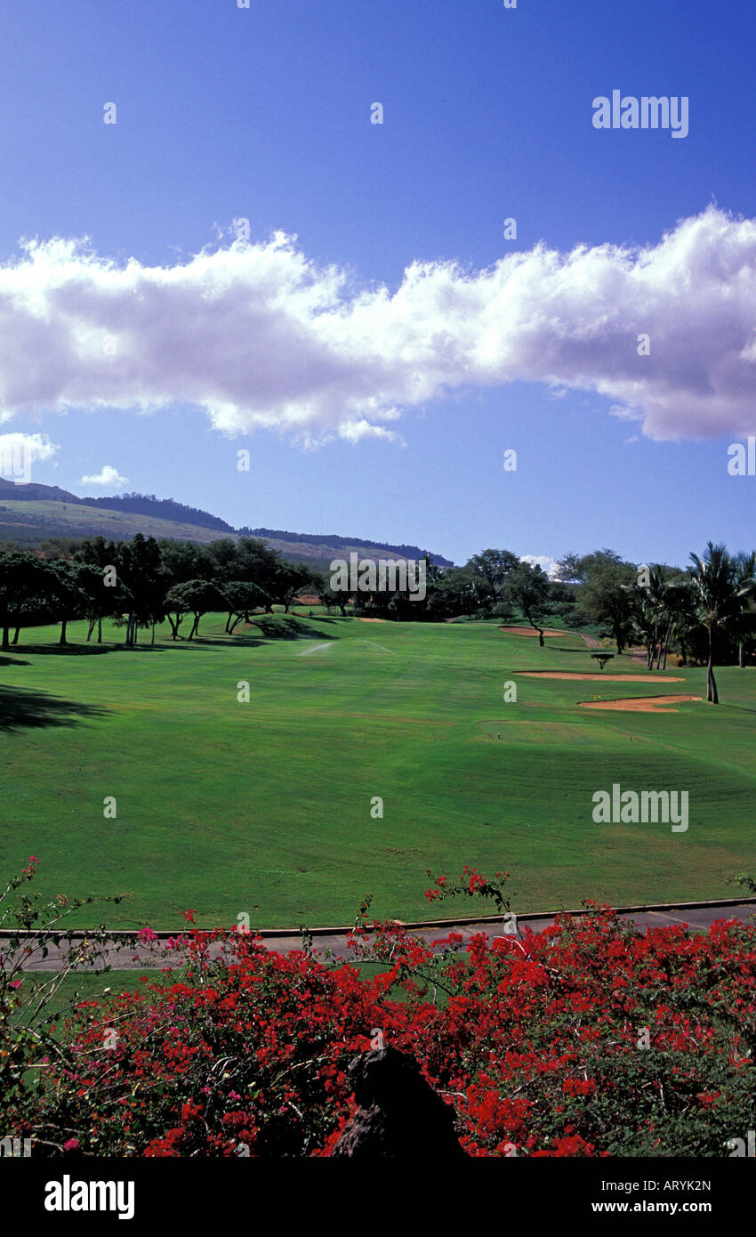 Wailea golf course hi-res stock photography and images - Alamy