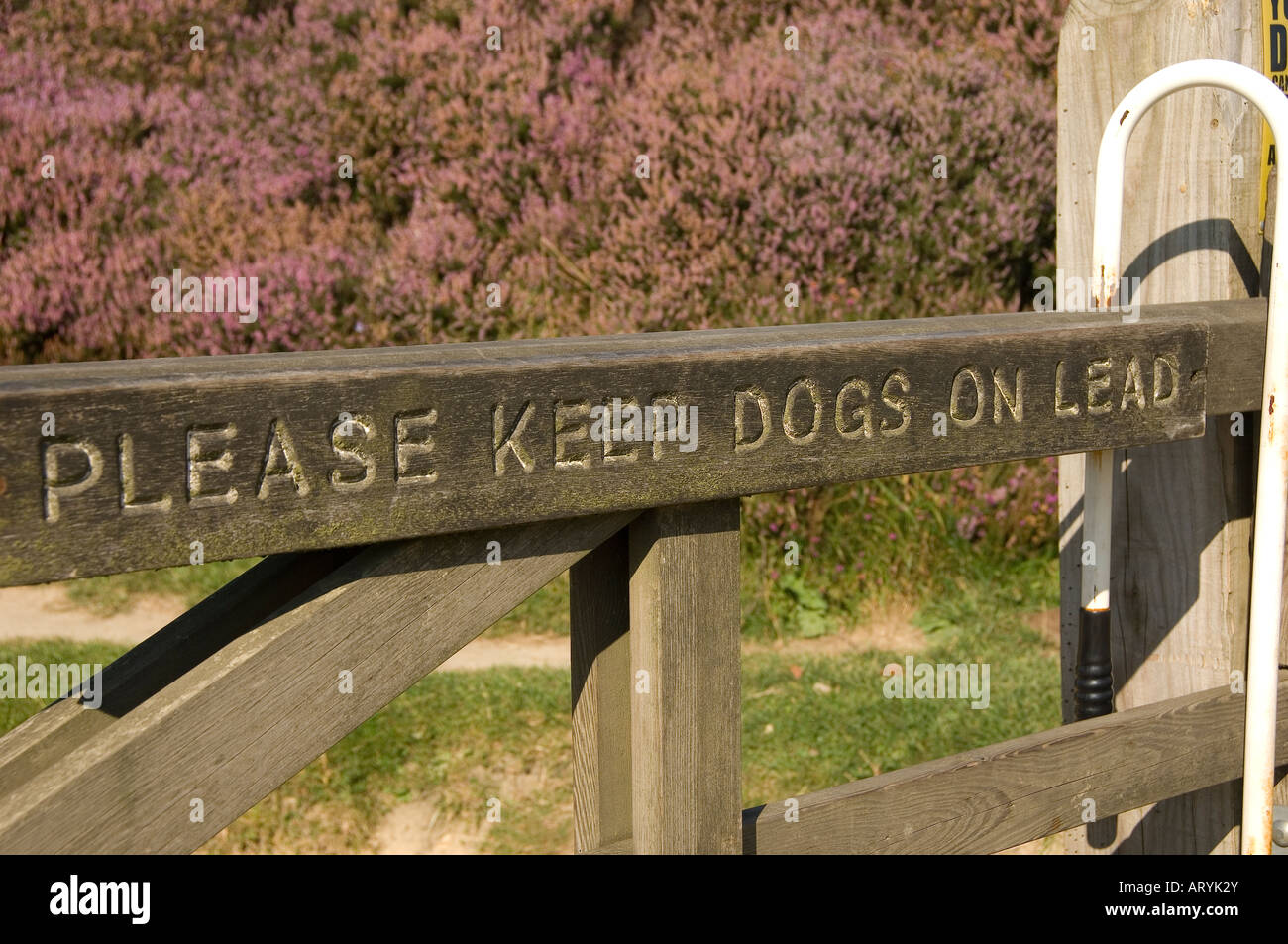 Keep dog dogs on lead sign hi-res stock photography and images - Alamy