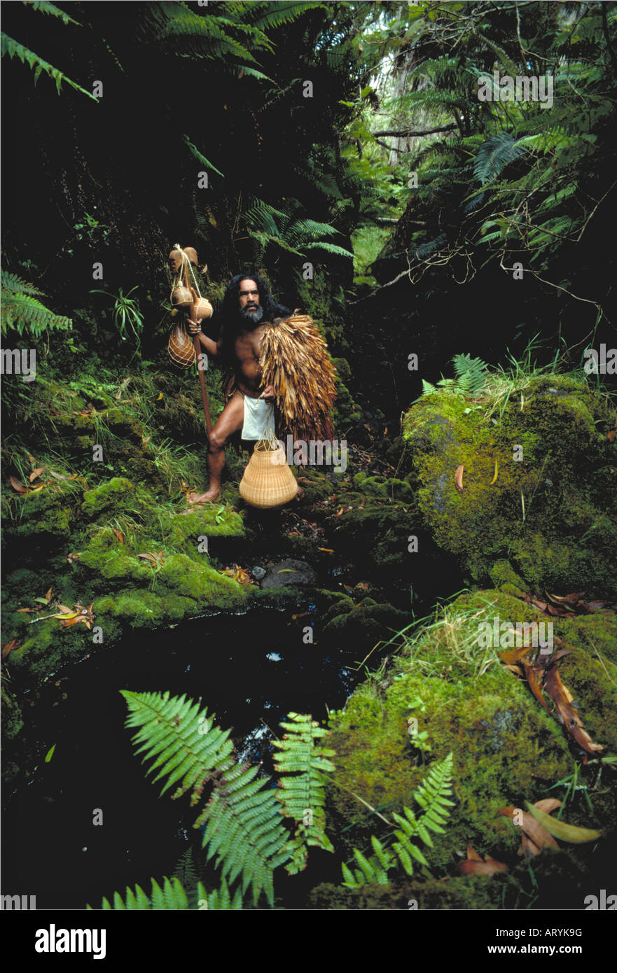 Hawaiian man in native rainforest in traditional cloak and water gourd ...