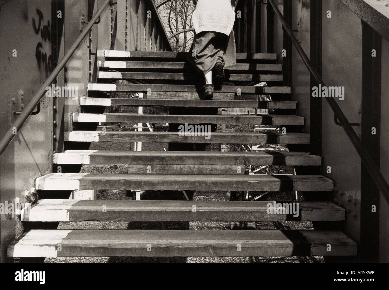 Ellis Island Stairs Of Separation