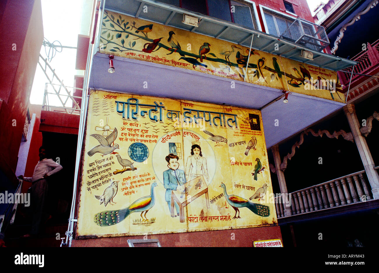 Hospital jain bird hi-res stock photography and images - Alamy