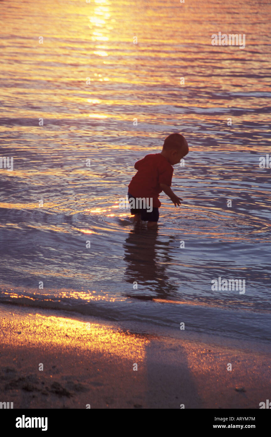 Young boy playing in the water at Ala Moana Beach park at sunset ...