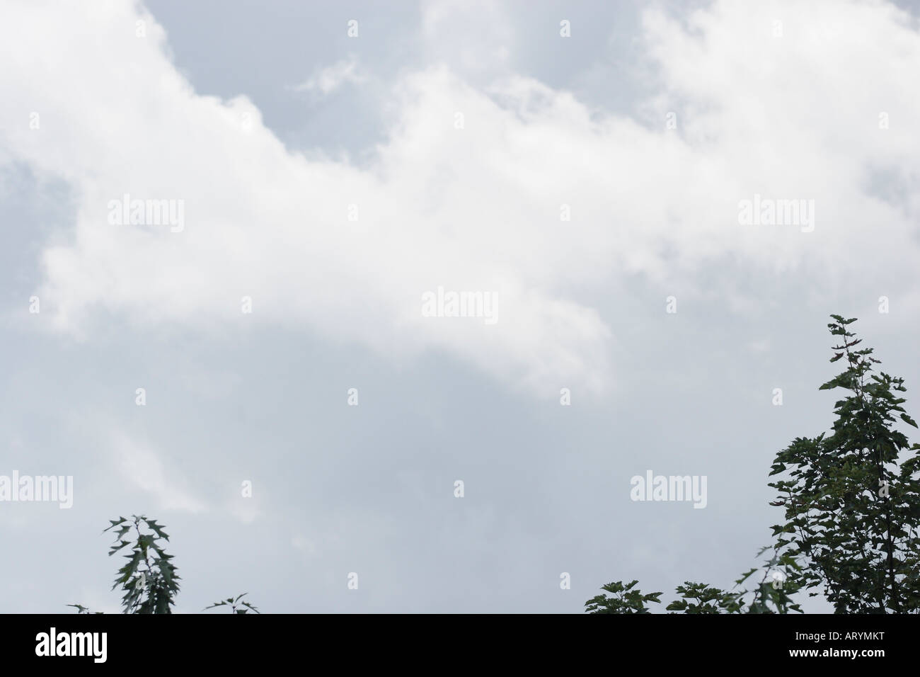 Cloudy overcast sky hi-res stock photography and images - Alamy