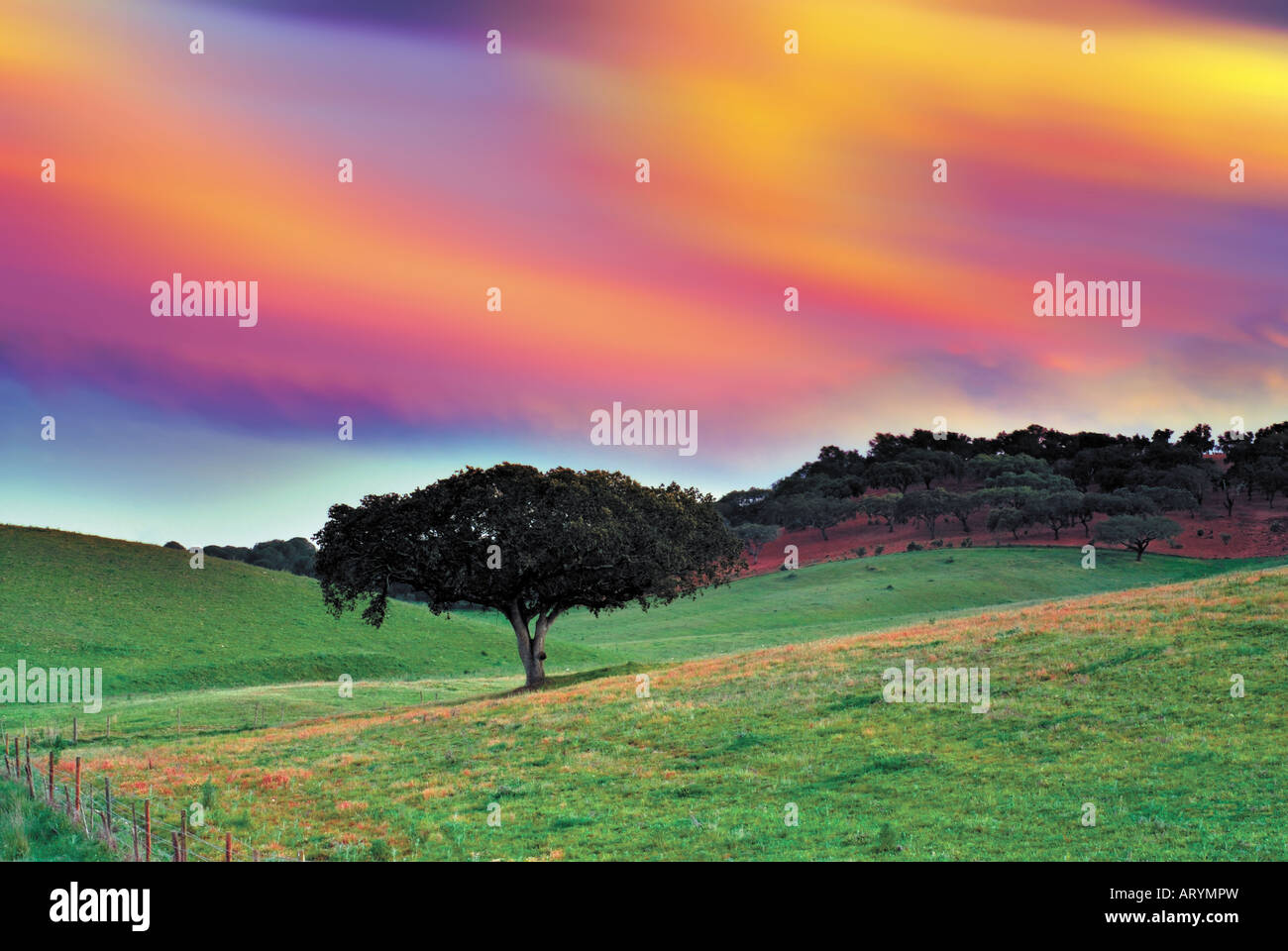 Dramatic sky and rural landscape at the countryside in the Alentejo ...