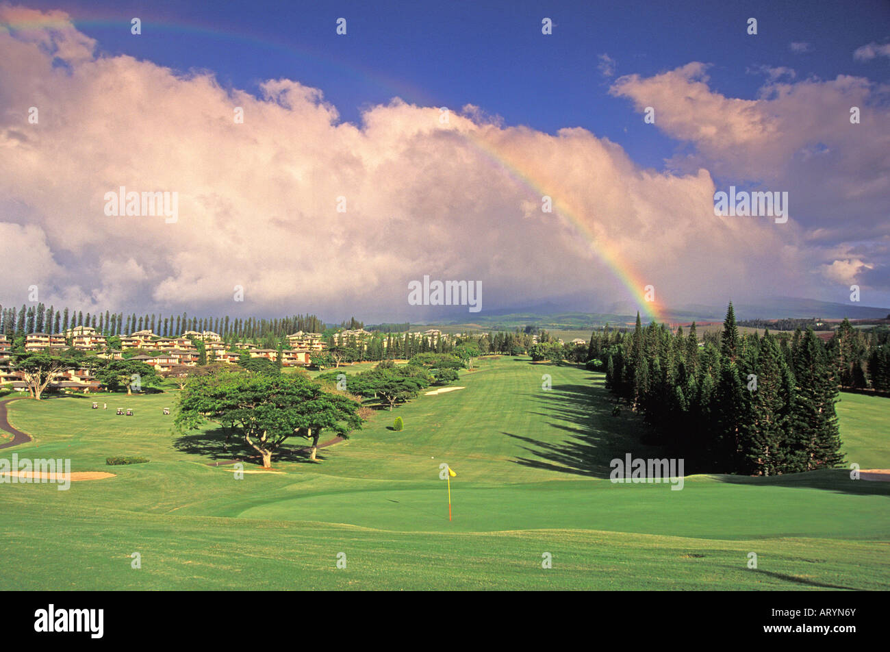 Championship golf courses hi-res stock photography and images - Alamy