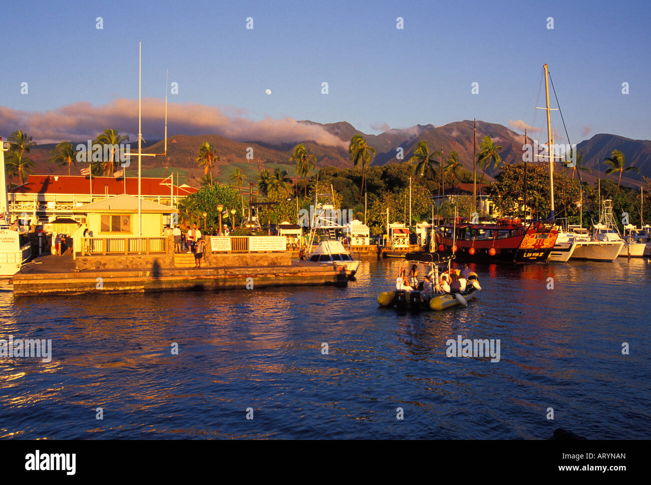 Tourists coming into Lahaina Harbor on a tender at sunset with a full ...