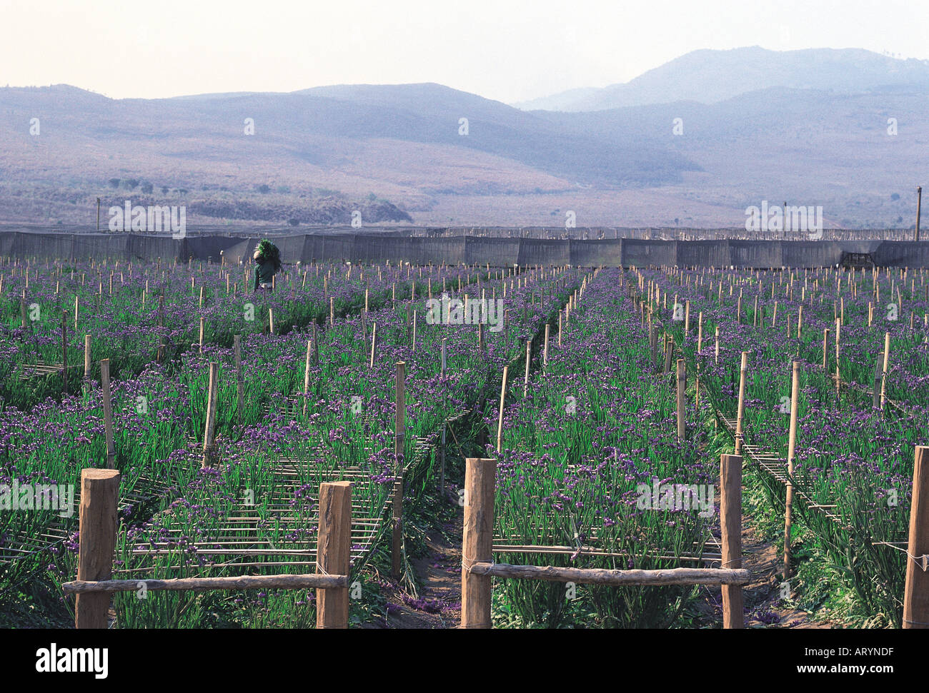 The great estate hi-res stock photography and images - Alamy