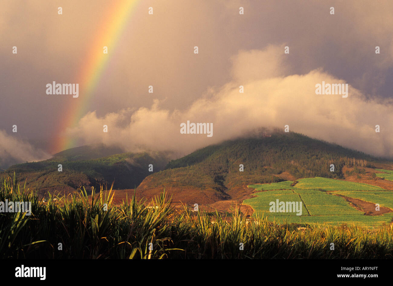 Rainbow over The West Maui Mountains above Lahaina and sugarcane fields ...