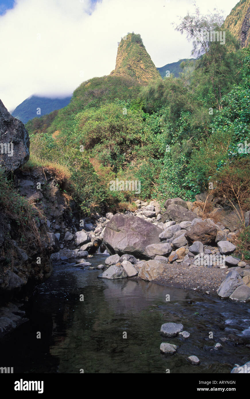 Iao Valley, part of the ancient caldera of the West Maui Mountains, is ...